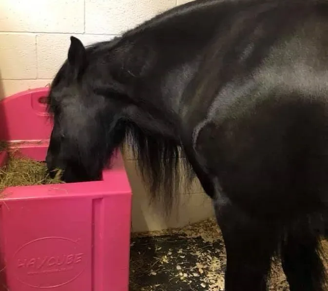 Haycube health benefits | Haycube Ltd | Leicester