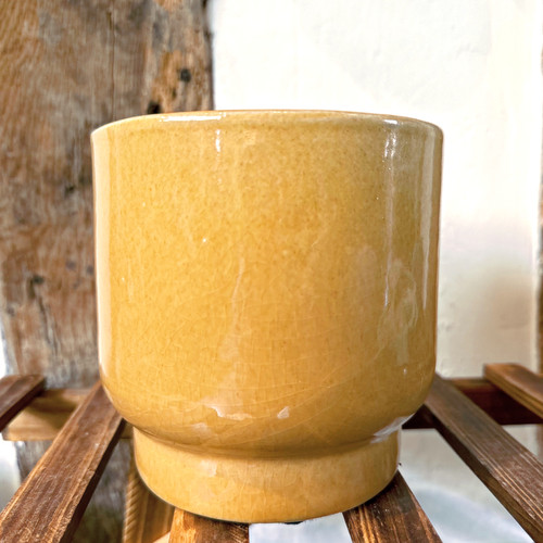 Glazed Ochre Plant Pot | 14cm | Stamford Botanics