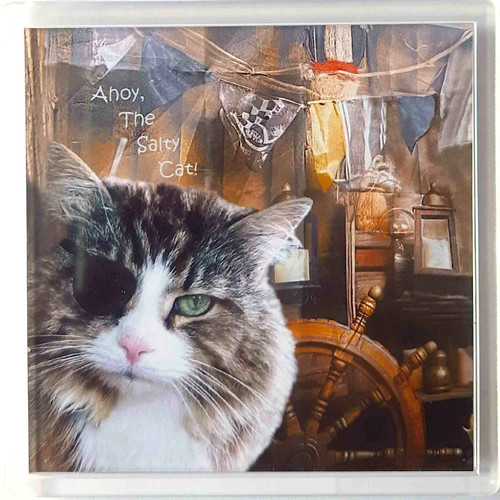 Ahoy, The Salty Cat Coaster | ShropshireCatRescue
