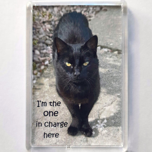 I'm the one in charge here Fridge Magnet | ShropshireCatRescue