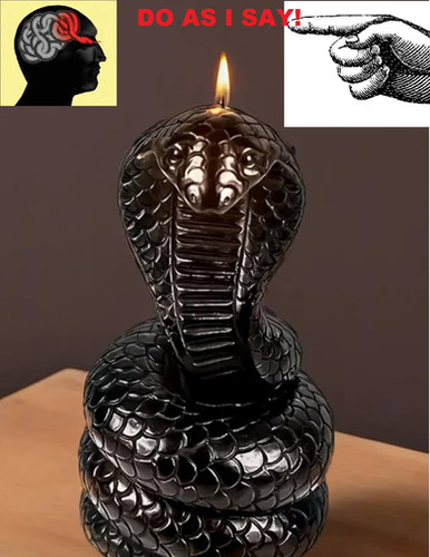 New Extreme Snake Mind Poison Spell | realresultsbyandyllc