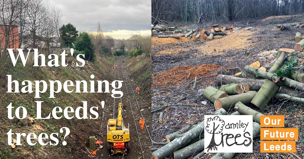 [Event] What's happening to Leeds' trees? OFL in conversation with ...