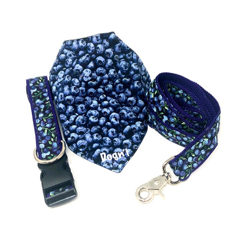 Maine Blueberry Collection | dogni.com