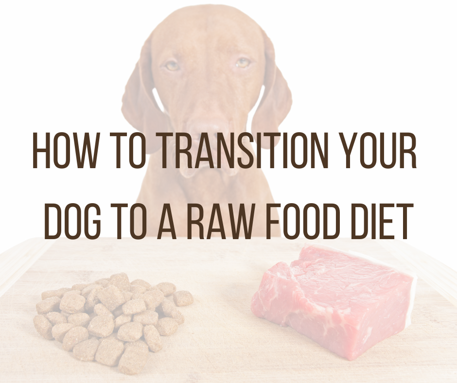 How to Transition Your Dog to a Raw Food Diet: A Step-by-Step Guide
