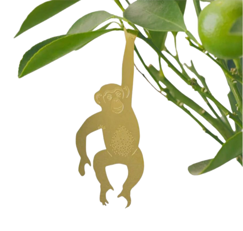 Bijou de plante "Singe" en laiton | Petites séries