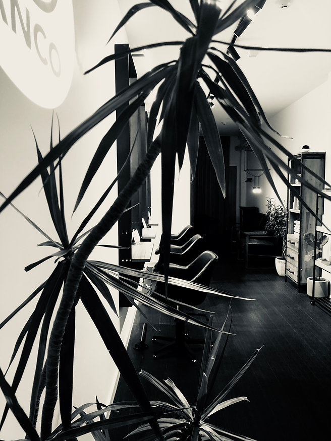 Hairstylist | ANCO STUDIO | Auckland