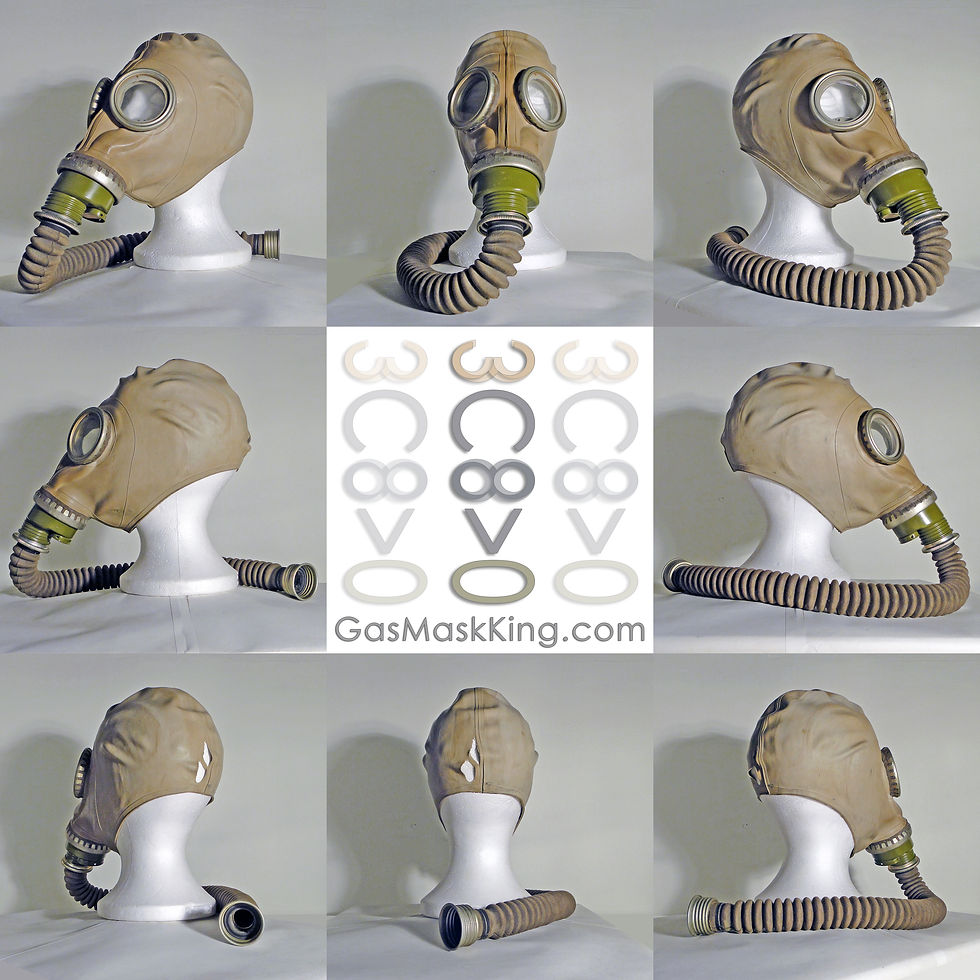 Bulgarian Gas Masks | Gas Mask King