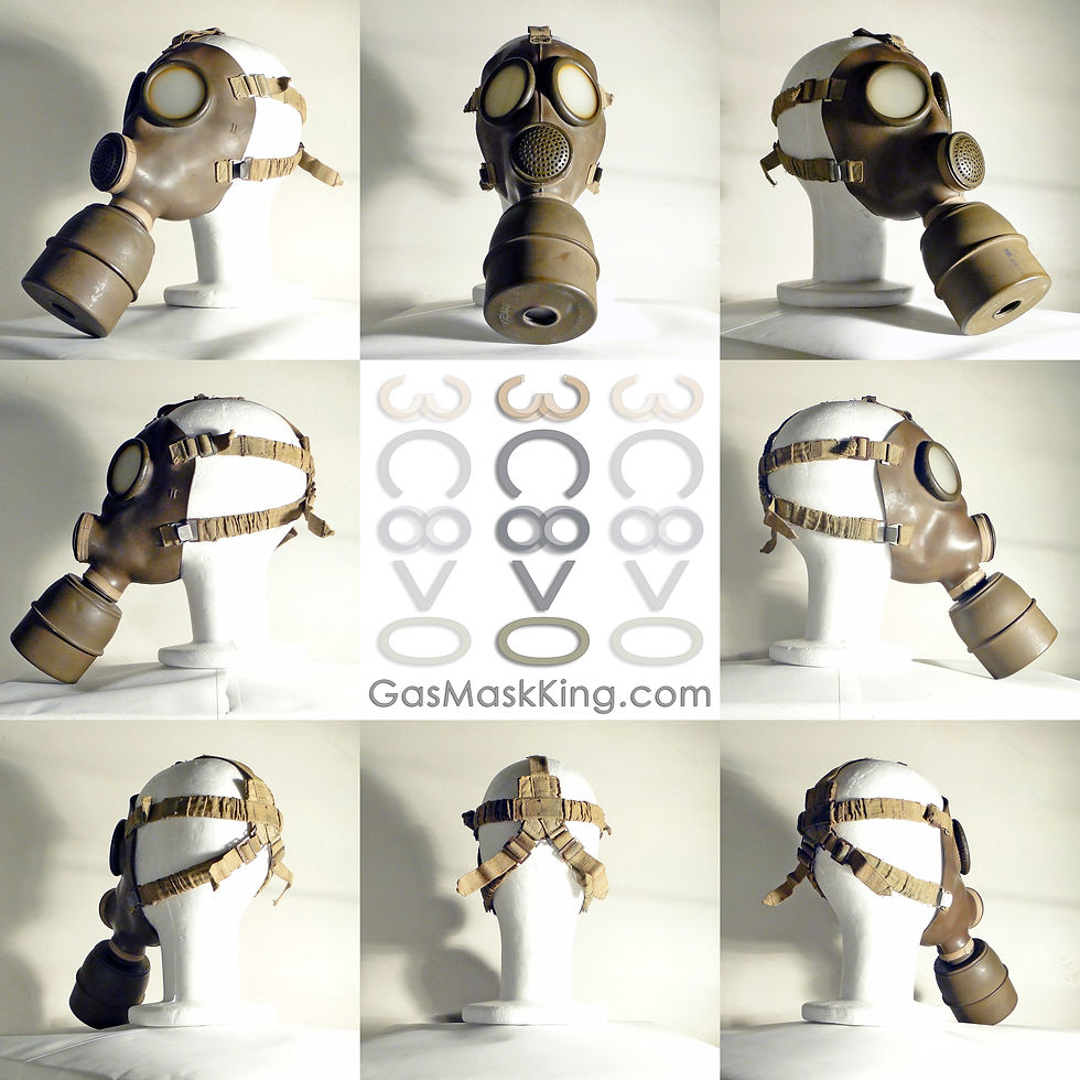 French Gas Masks | Gas Mask King