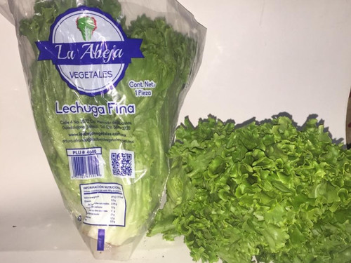 Lechuga italiana | La Abeja Vegetales