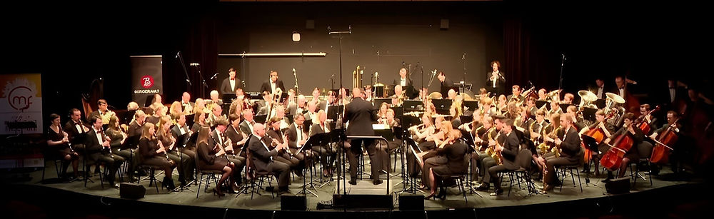 Het ECWO herbeluisteren of herbekijken?