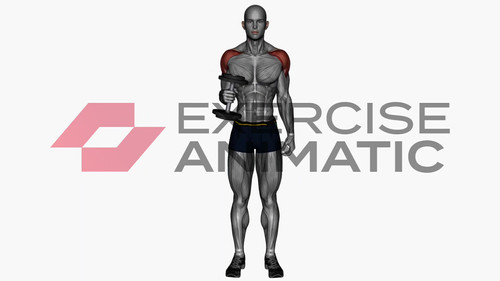 Dumbbell external rotation | Exercise Animatic