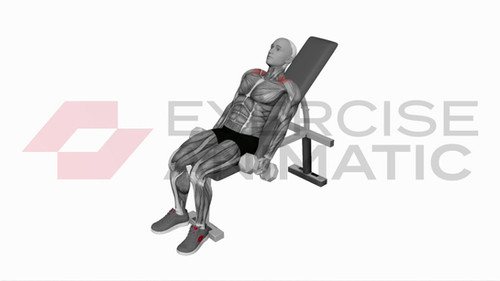 Dumbbell Incline Shrug | Exercise Animatic | Animated Workout Videos ...