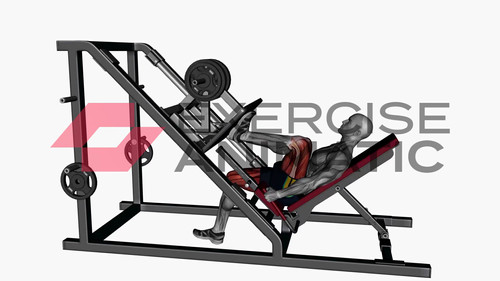 Single leg incline 45 degree leg press machine | Exercise Animatic