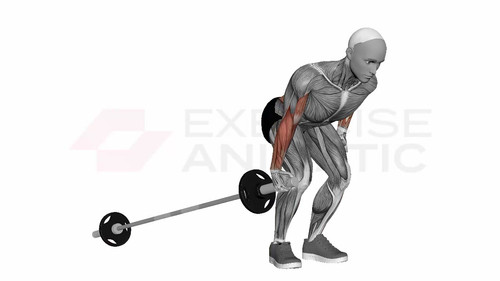 Barbell Long Landmine Row | Exercise Animatic