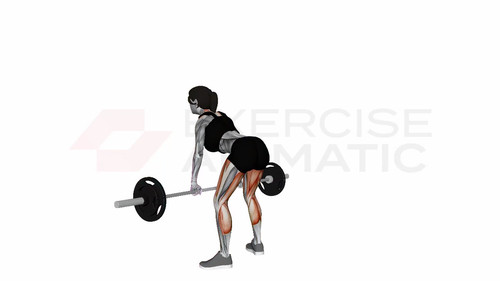 Barbell Jump Shrug Female | Exercise Animatic