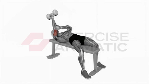 Dumbbell Lying One Arm Neutral Triceps Extension | Exercise Animatic
