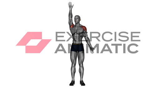 Standing swimmer | Exercise Animatic