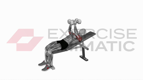 Dumbbell Incline Squeeze Press | Exercise Animatic
