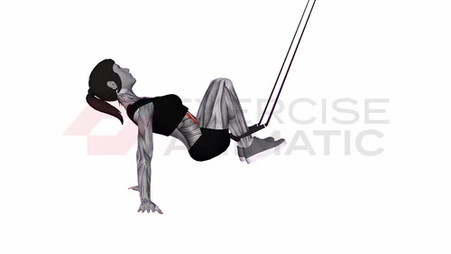 Suspension Trainer with Grips Supine Crunch female | Exercise Animatic