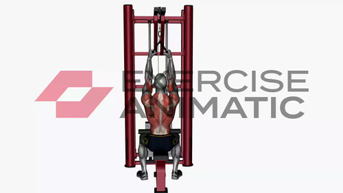 V bar lat pull down | Exercise Animatic