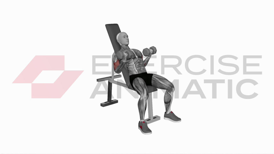 Workout Animation Videos | Exercise Animatic