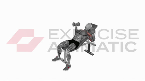 Dumbbell Incline Alternate Press | Exercise Animatic