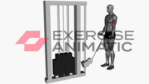 Biceps curl cable wide grip | Exercise Animatic