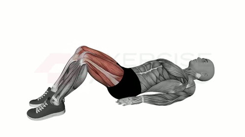 Glute Bridge With Abduction Bodyweight | Exercise Animatic