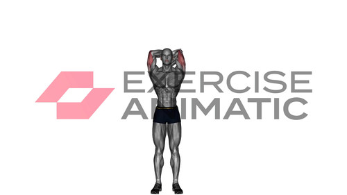 Overhand tricep stretching single arm | Exercise Animatic