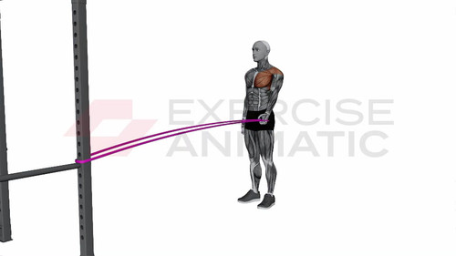 Resistance Band Standing Single Arm Backward Shoulder Extension ...