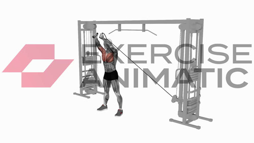 Cable Upper Chest Crossovers | Exercise Animatic