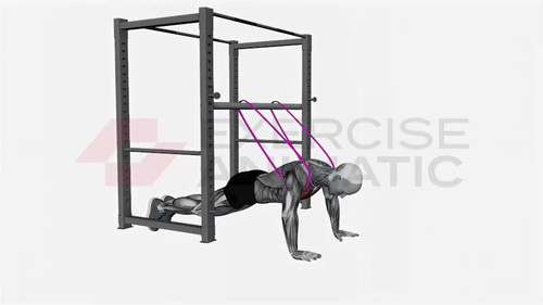 Resistance Band Assisted Push-up | Exercise Animatic