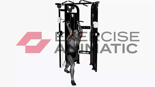 Cable triceps overhead extension ez bar | Exercise Animatic