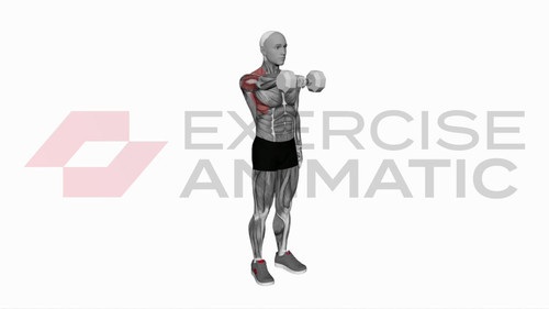 Dumbbell One Arm Front Raise | Exercise Animatic