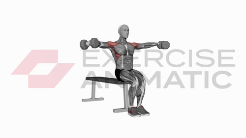 Dumbbell Seated Bent Arm Lateral raise | Exercise Animatic