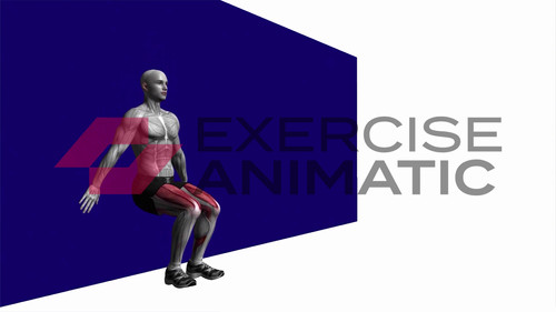 Wall squat bodyweight | Exercise Animatic