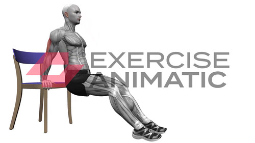 Chair triceps dips | Exercise Animatic