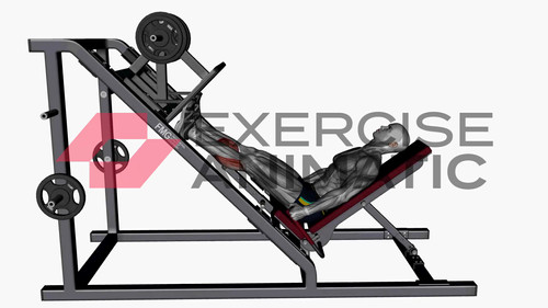 Calf raise leg press machine | Exercise Animatic