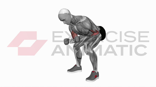 Dumbbell Standing One Arm Concentration Curl | Exercise Animatic