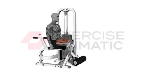 Seated leg extension alternate legs | Exercise Animatic