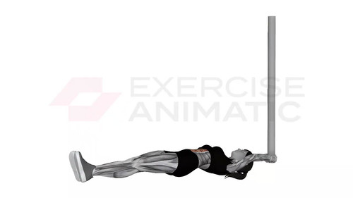 Dragonfly Female | Exercise Animatic