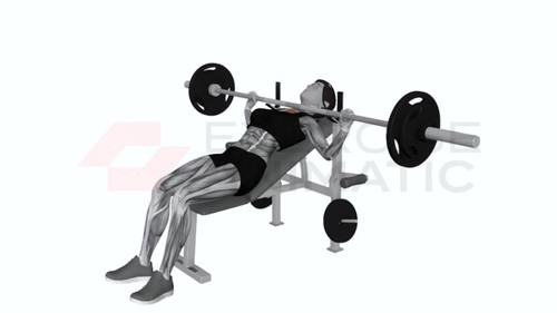 Barbell Pause Incline Bench Press female | Exercise Animatic