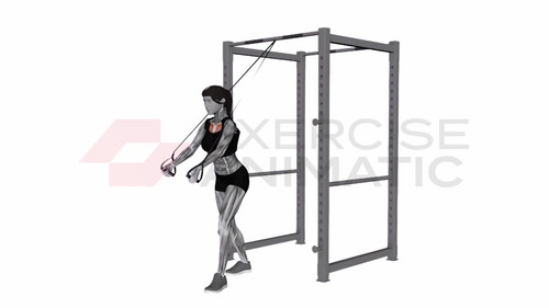 Band low chest fly female | Exercise Animatic