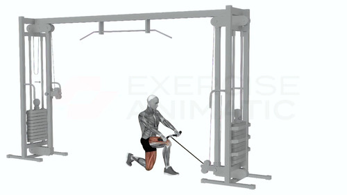 Cable Split Squat | Exercise Animatic