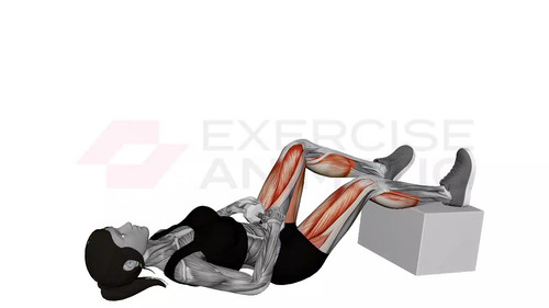 Dumbbell Feet Elevated Staggered Glute Bridge Female | Exercise Animatic