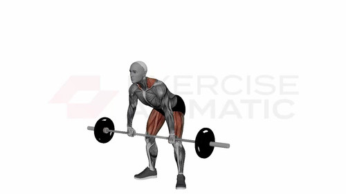 Barbell Jump Shrug | Exercise Animatic