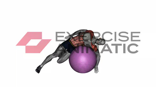 Exercise ball lying side lat stretch | Exercise Animatic