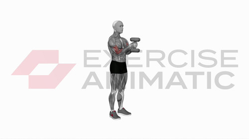 Dumbbell Waiter Biceps Curl | Exercise Animatic
