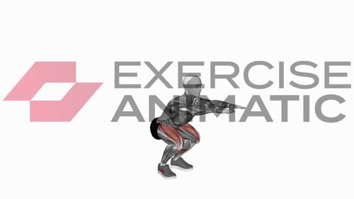 Bodyweight Squat | Exercise Animatic