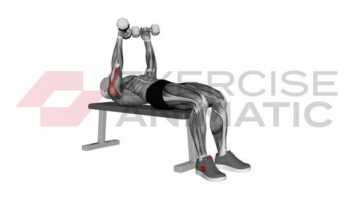 Dumbbell Lying Extension across face | Exercise Animatic